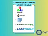5 Best Image Processing Libraries In Java Delft Stack