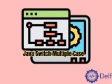 How To Switch Multiple Case In Java Delft Stack