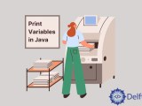 How To Print Variables In Java Delft Stack