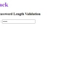 How To Validate Password In Javascript Delft Stack