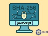 How To Implement Sha 256 In Javascript Delft Stack