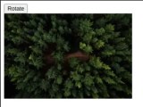 How To Rotate An Image With Javascript Delft Stack