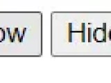 How To Hide Button In Javascript Delft Stack