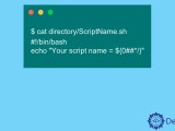 How To Get Bash Script Filename Delft Stack