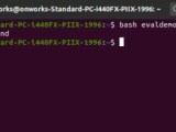 How To Execute Commands In A Variable In Bash Script Delft Stack