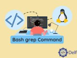 Bash Grep Command Delft Stack