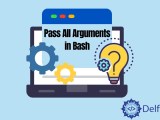 How To Pass All Arguments In Bash Delft Stack