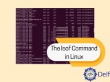 The Lsof Command In Linux Delft Stack