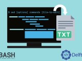 The Sed Command In Bash Delft Stack