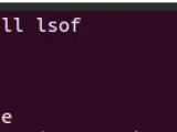 The Lsof Command In Linux Delft Stack