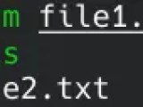 How To Delete Files Recursively In Linux Delft Stack