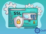 How To Connect To Postgresql In Ssl Mode Delft Stack