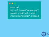 How To Crop Image Using Opencv In Python Delft Stack