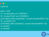 Python Os Dup2 Method Delft Stack