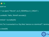 Python Os Isatty Method Delft Stack