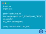 Python Os Stat Method Delft Stack
