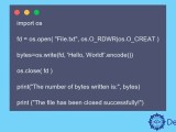 Python Os Write Method Delft Stack