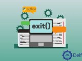 How To Exit Codes In Python Delft Stack