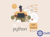 How To Use The Cat Command In Python Delft Stack