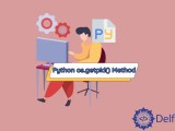 Python Os Getpid Method Delft Stack