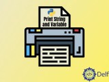How To Print String And Variable In Python Delft Stack