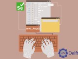 The Send Keys Function In Selenium Python Delft Stack