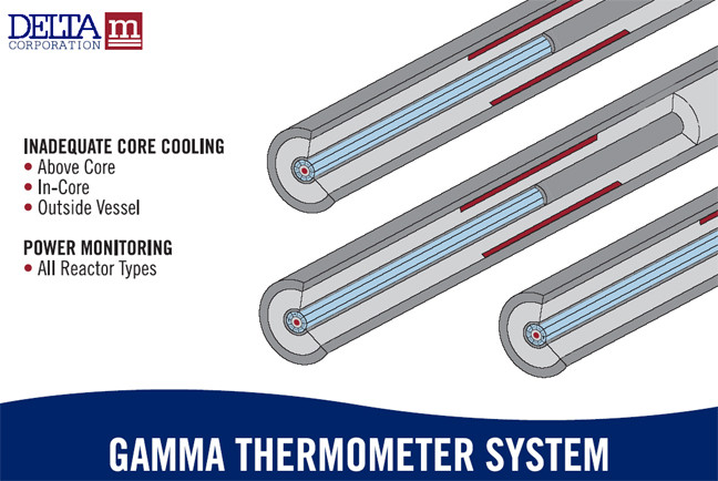 Gamma Thermometer | Delta M Corp.