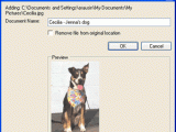 Attaching Files