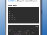 Python Programming App