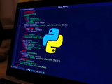 The Rise Of Python Why When Did Python Become So Popular