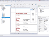 Sql Server Report Builder Devart