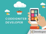 Codeigniter Developers Hire Best Codeigniter Web Development Services
