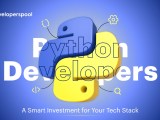 Why You Should Invest In Python Developers For Your Tech Stack