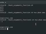 Bash Script Arguments Into A Function Devopsroles Top 1