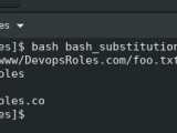 Bash Substitution String Example Devopsroles Better 2026