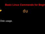Du Command In Linux With Examples Devopsroles Better 2026