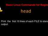 Head Command In Linux With Examples Devopsroles Better 2026