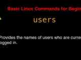 Mastering The Users Command In Linux With Examples Devopsroles
