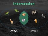 Advanced Object Array Comparison In Typescript