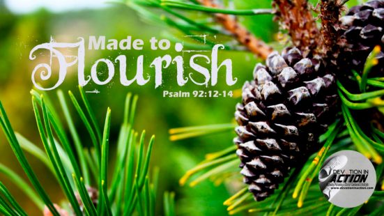 Made To Flourish Devotion In Action made-to-flourish-devotion-in-action