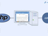 What Is Php Curl And How To Use It Devprovider