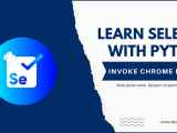 Selenium Python Invoke Chrome Browser Load Site To Automate