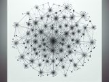 Network Optimization Glossary