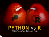 Python Vs R Which You Want To Learn First