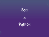 Boa Vs Python What S The Difference