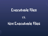 Executable Files Vs Non Executable Files What S The Difference