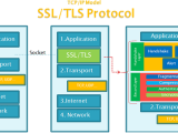 Difference Between Tls And Ssl Difference Between Tls Vs Ssl
