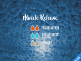 Muscle Release Diffuserblends