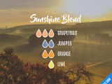 Sunshine Blend Diffuserblends