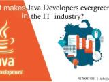 What Makes Java Developers Evergreen In The It Industry